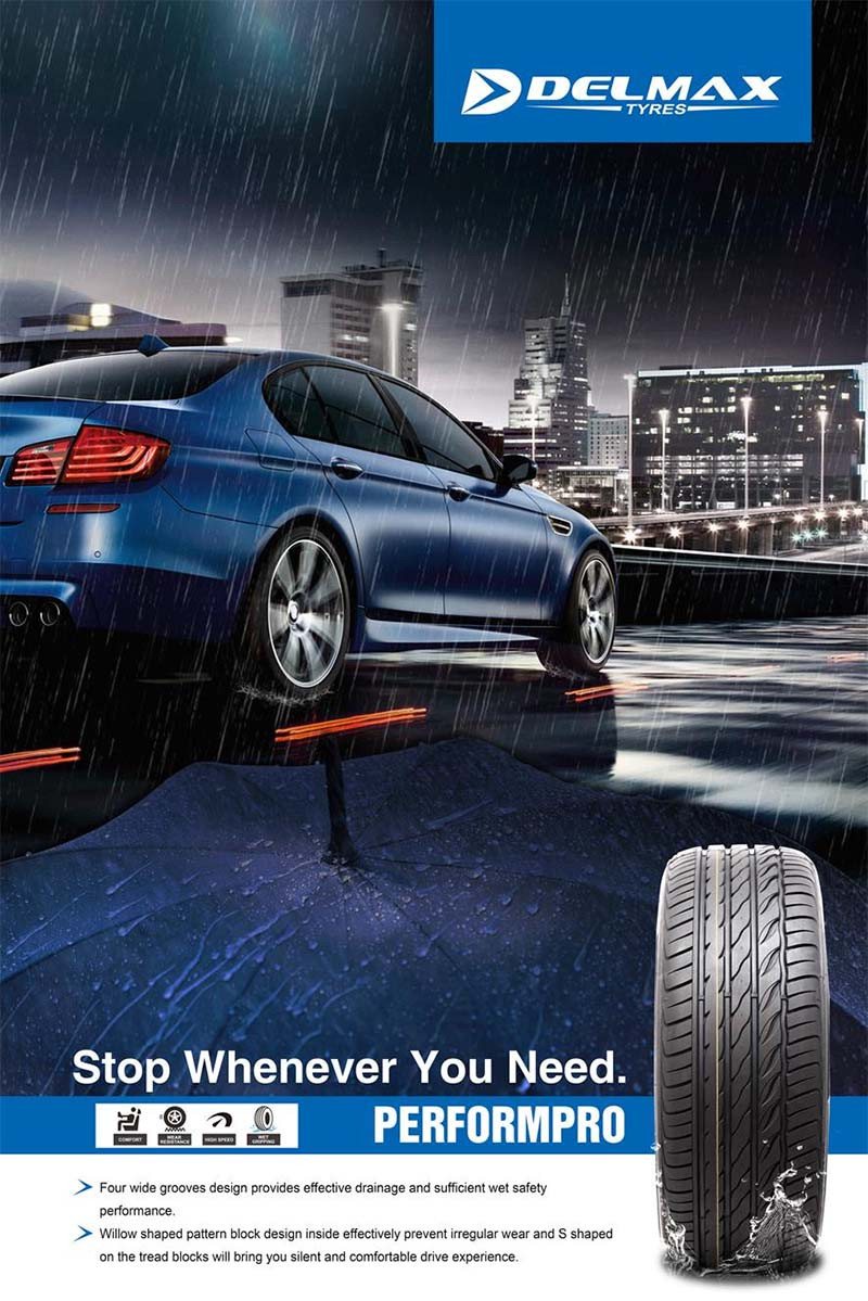 Llanta DELMAX PerformPro 205/50ZR17 - Virtual Llantas